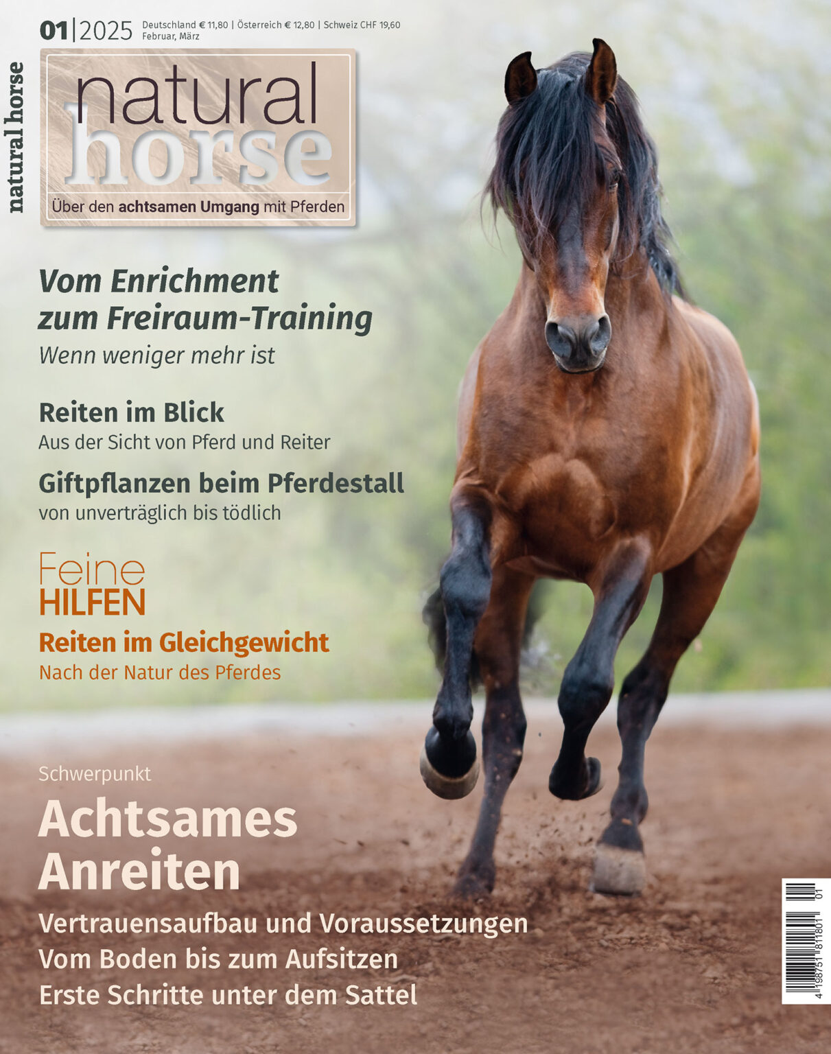 Natural Horse - über den achtsamen Umgang mit Pferden